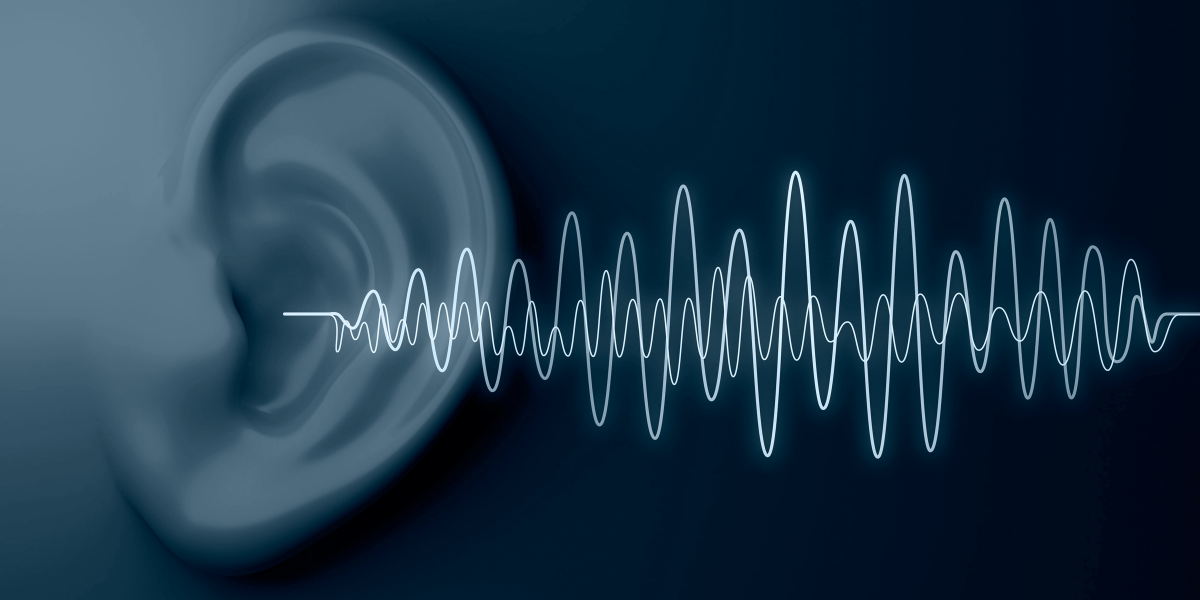 Choosing the Best Audio Amplifier: Tube vs. Solid-State Insights – BrzHifi